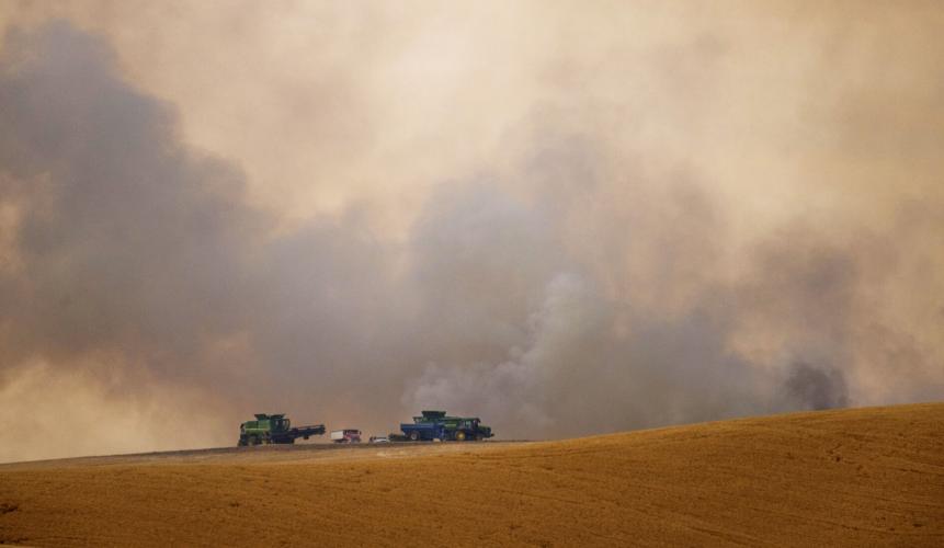 Video: Fire burns 800 acres of wheat field north of Walla Walla | Local ...