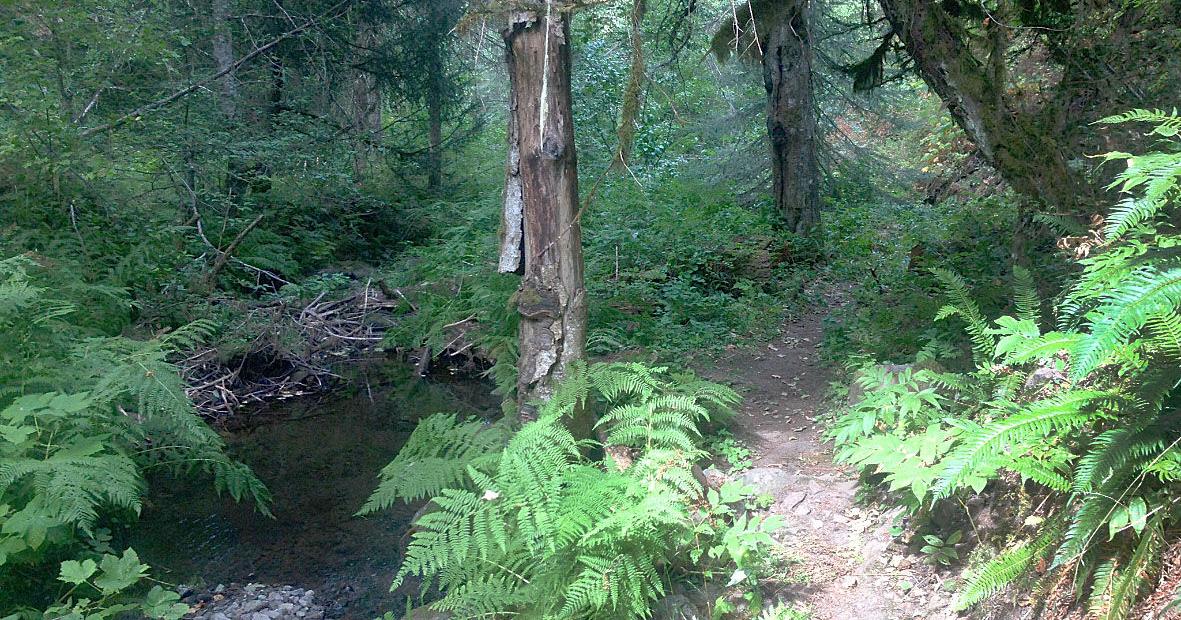 A new Walla Wallan explores the Blue Mountains | Local | union-bulletin.com