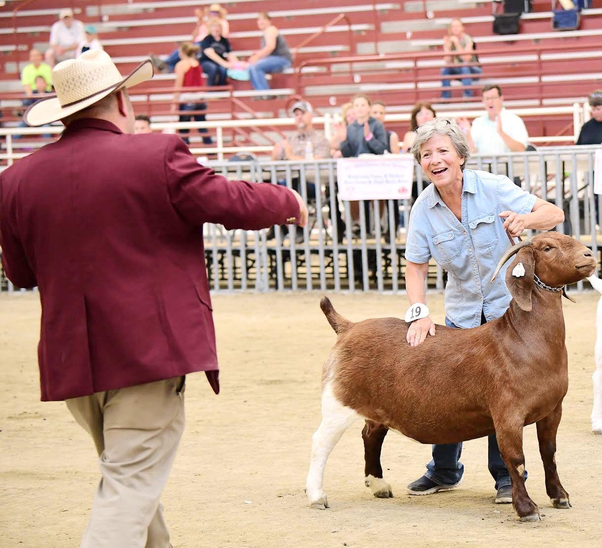 Oh, you kid! Local goat outstanding in her field | Etcetera | union ...