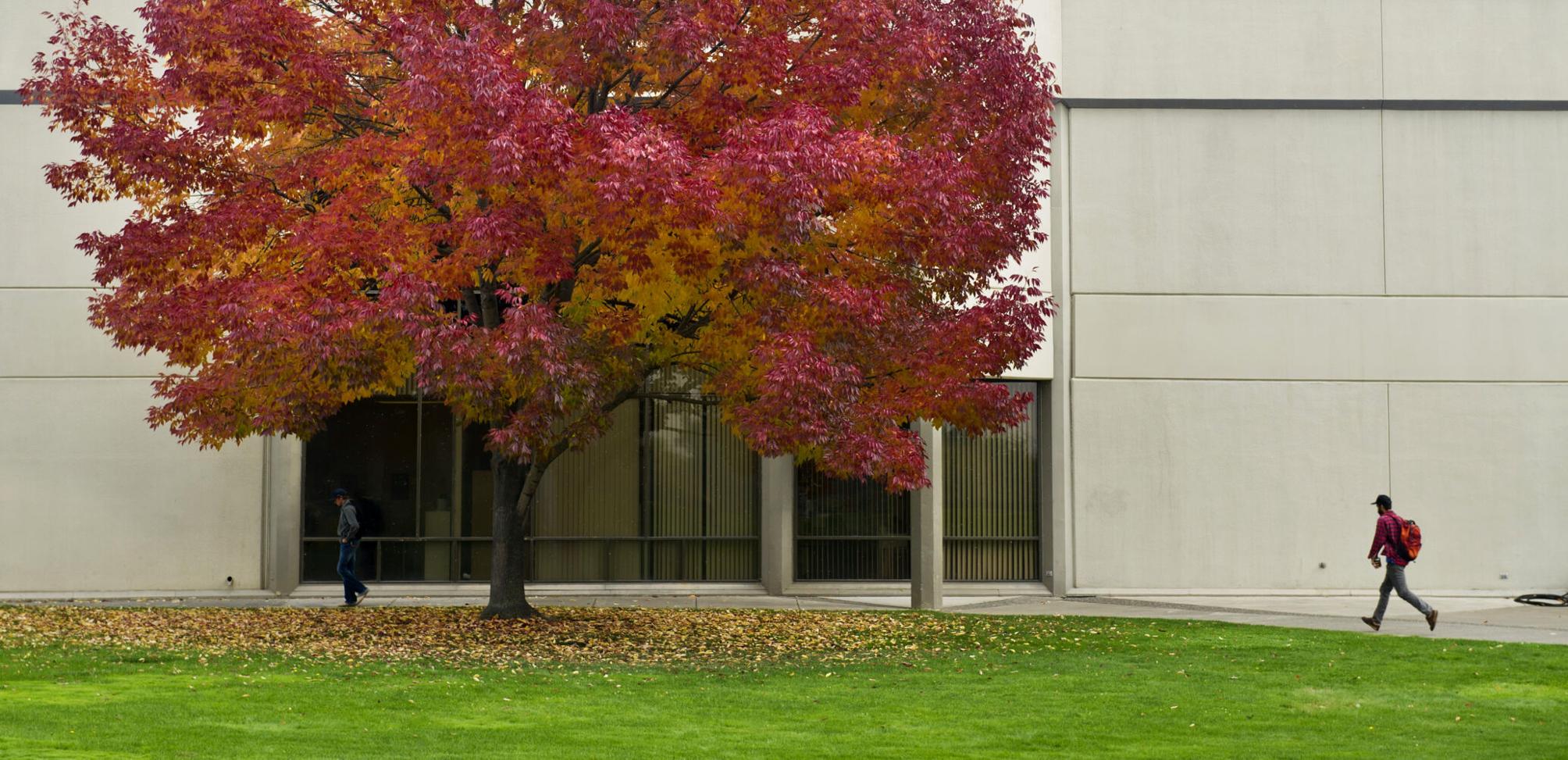 WWCC expands Warrior Pledge pilot program | Education | union-bulletin.com