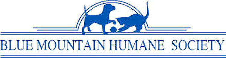 BMHS honors volunteers, board members for service | Etcetera | union ...