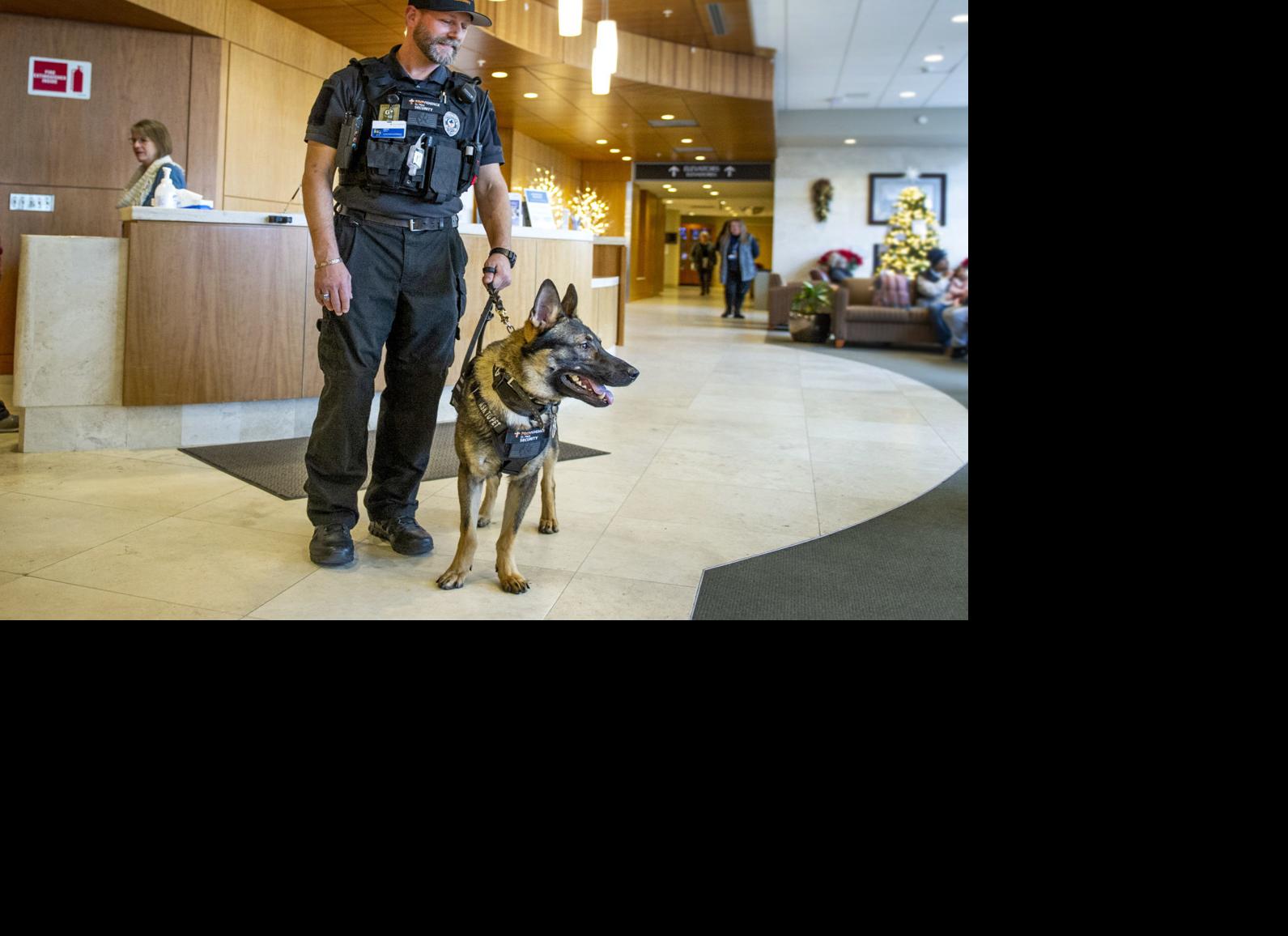 Sit, stay, secure: K-9 officer joins staff at St. Mary | Business ...