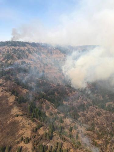 Firefighters making progress containing 6-week old Green Ridge Fire ...