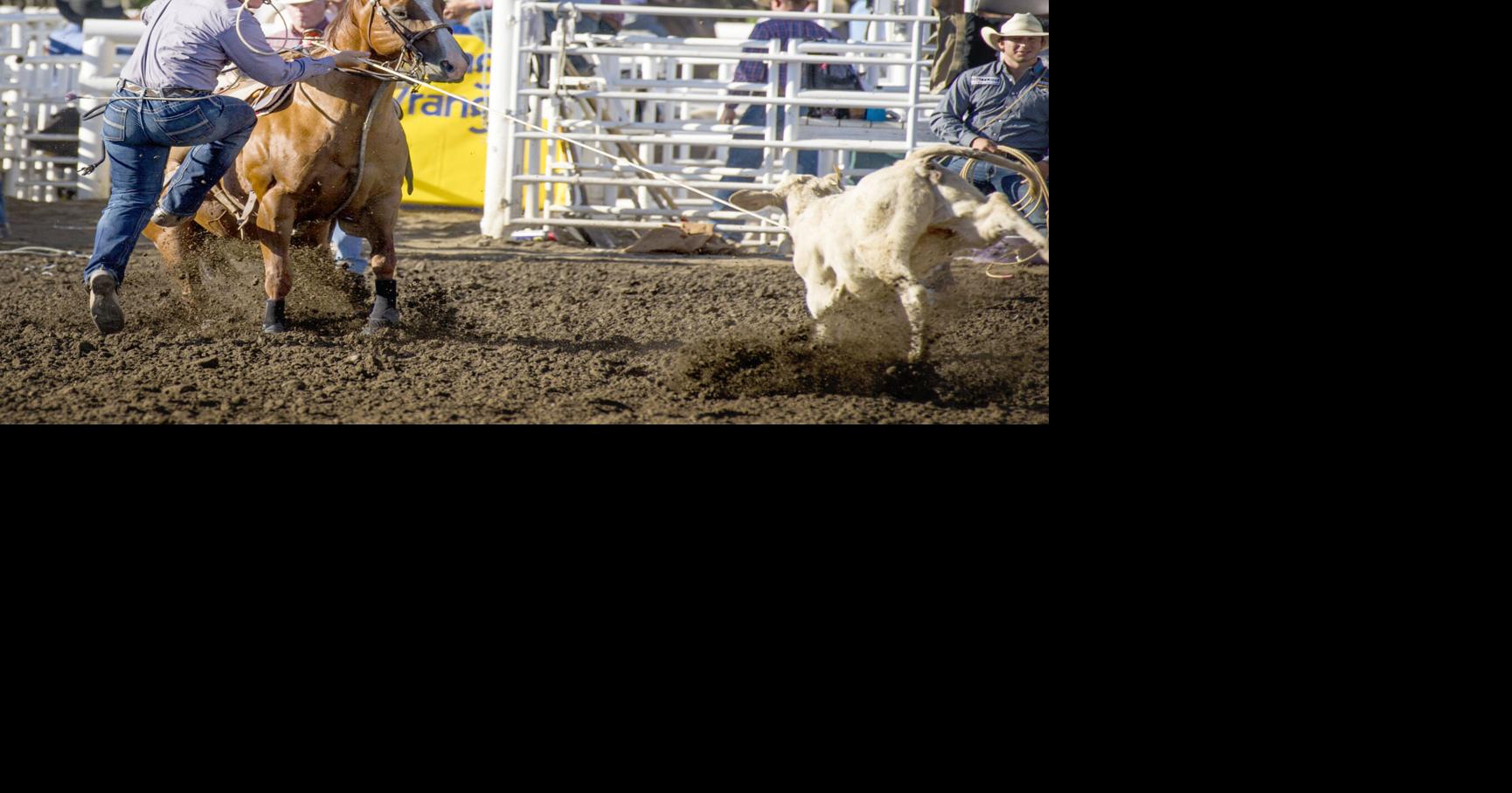 Rodeo slack takes to Fairgrounds | Pro Sports | union-bulletin.com