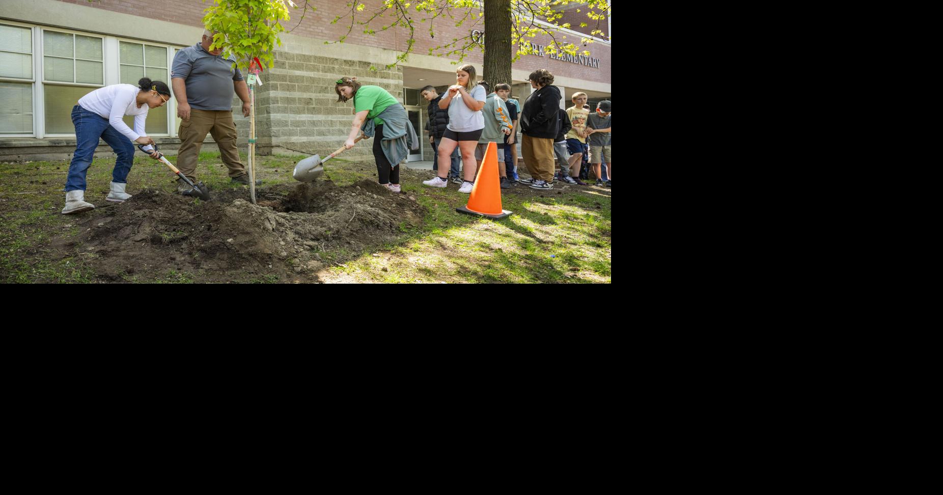 Green Park Elementary students plant trees to celebrate Arbor Day ...