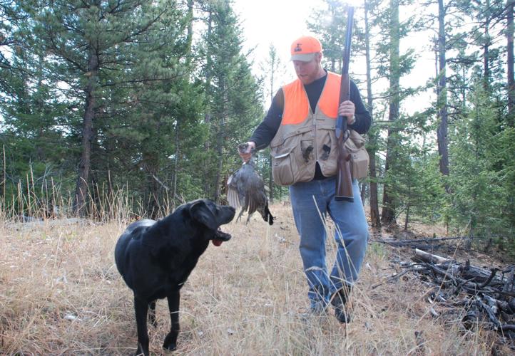 Washington sets back forest grouse hunting by two weeks to protect hens ...