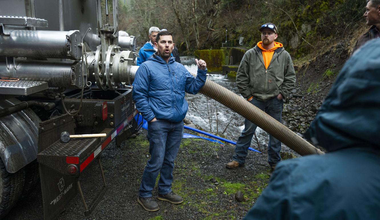 CTUIR smolt release part of broader effort to return salmon to Walla ...