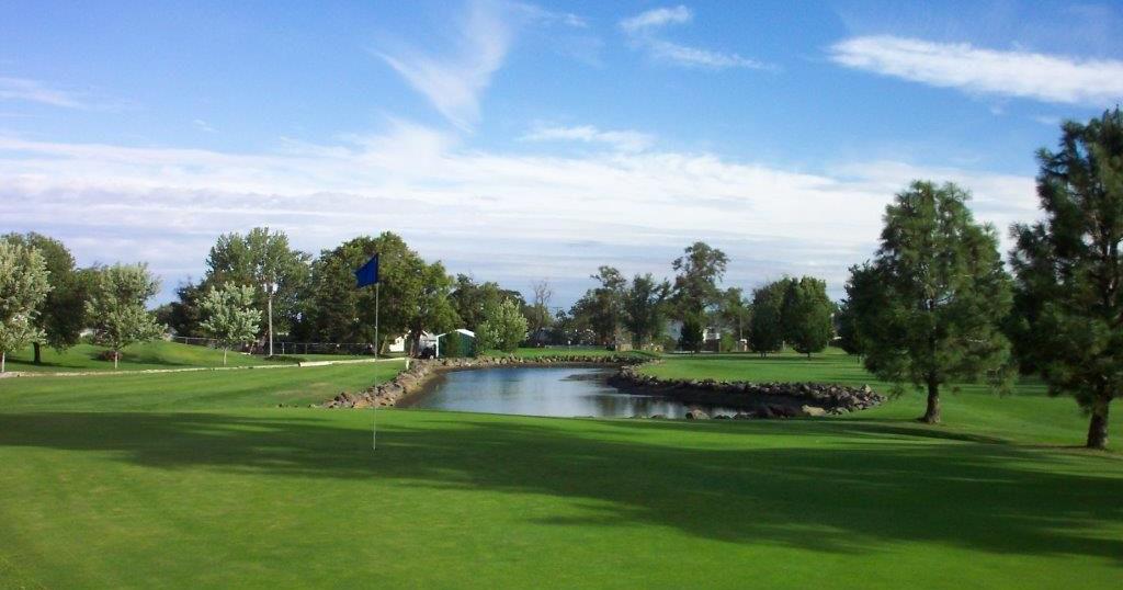 Athena golfer Kelly Allen notches his first hole-in-one after 10 years ...