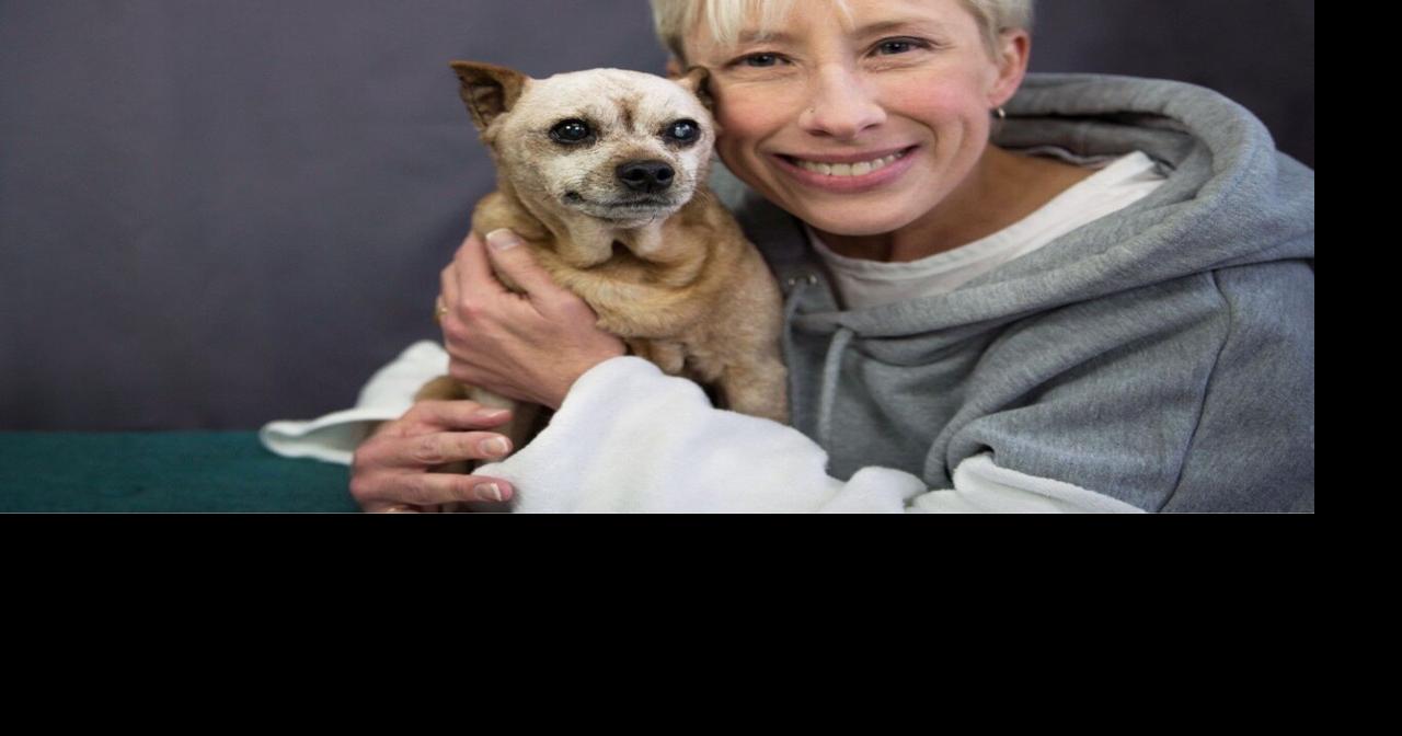New CEO to lead Walla Walla animal welfare organization Blue Mountain ...