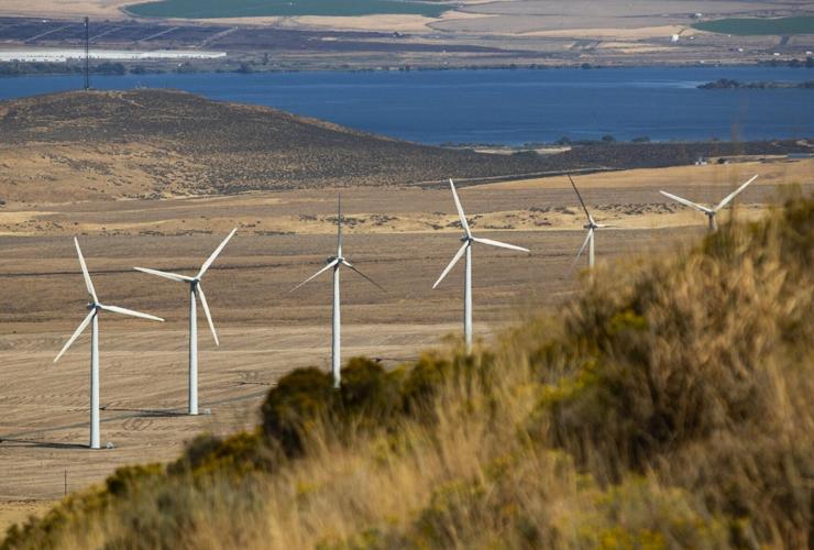 Plans for WA’s largest wind farm near Tri-Cities slashed in half ...