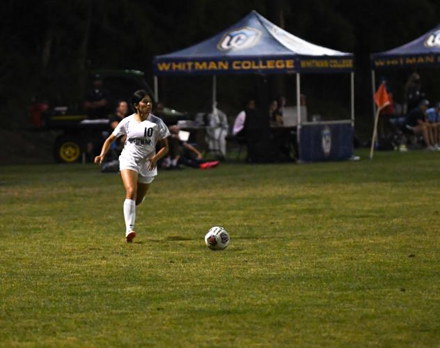 College Place native Neftali Segovia-Cruz part of Blues turnaround ...