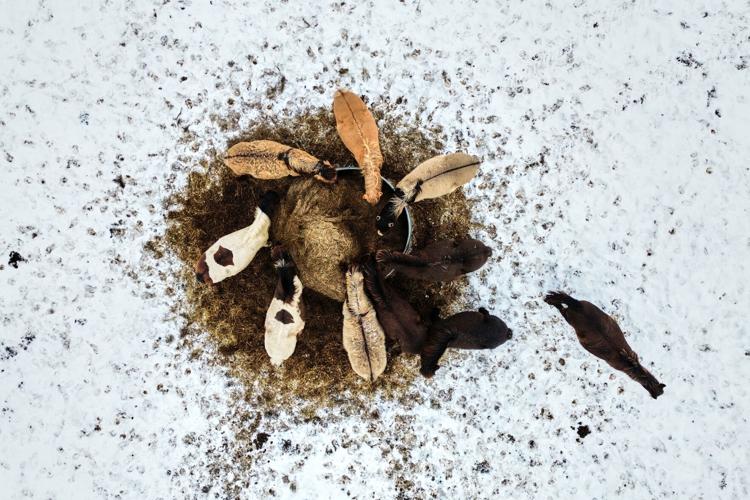 Photos show snow and ice hitting parts of Europe | National | union ...