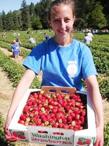 Klicker’s Berry Farm imparts work ethic to kids | Etcetera | union ...
