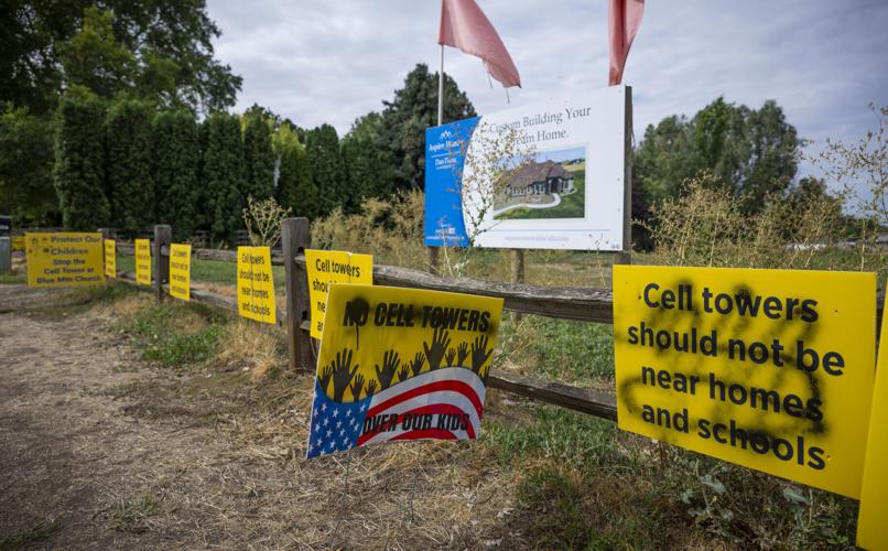 Hearing examiner to decide future of cell tower proposed at Blue ...