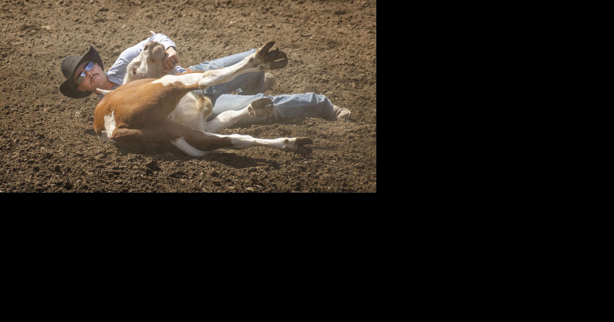 Walla Walla Fair and Frontier Days rodeo rocking P1FCU Arena | Pro ...