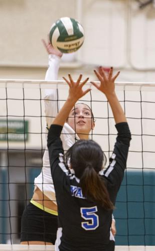 Walla Walla Valley area high school volleyball all-stars recognized ...