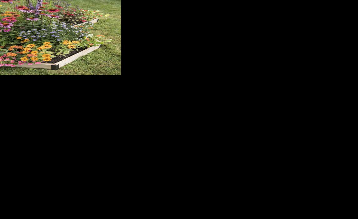 Designing a beautiful garden for you and the pollinators | Growing ...