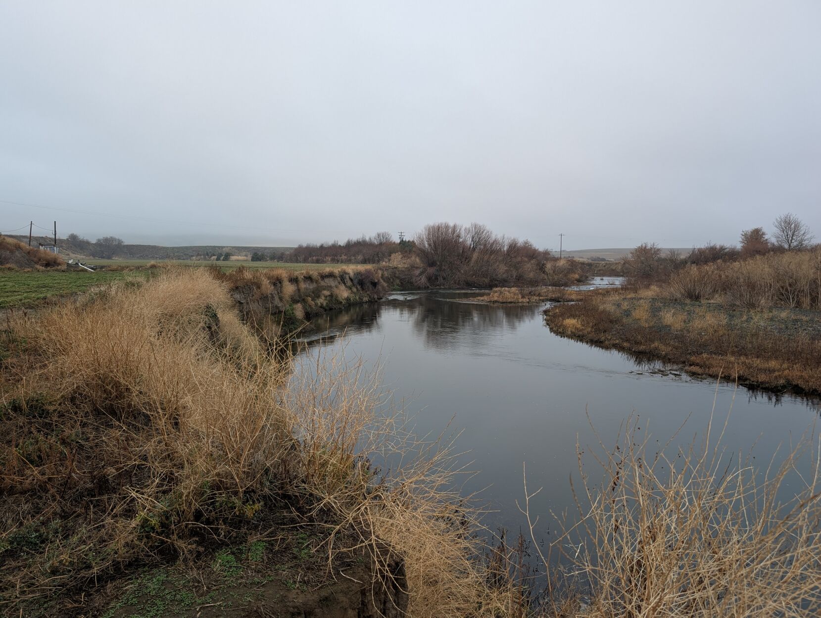 Lack of federal funding pauses fish habitat project in Walla Walla ...