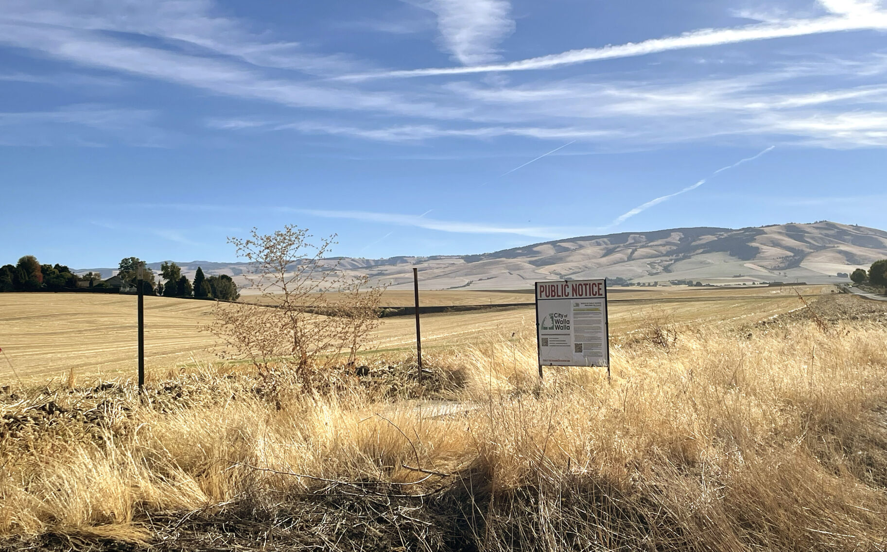 Walla Walla City Council denies Cottonwood annexation petition ...