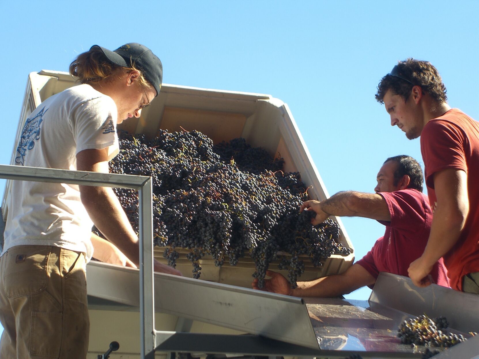 The Rootstock: How WWCC's Center for Enology and Viticulture came to be ...