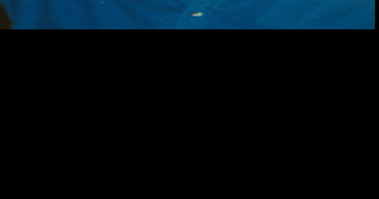 Pablo Balderas Jr. | Obit-old | union-bulletin.com