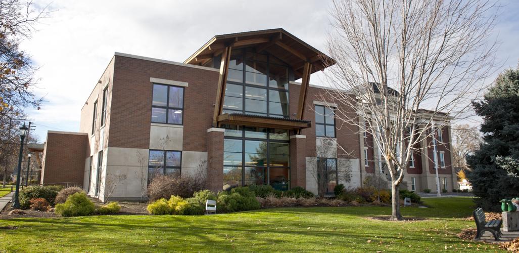 Turning the page: the ebb and flow of a library's collection | Local ...