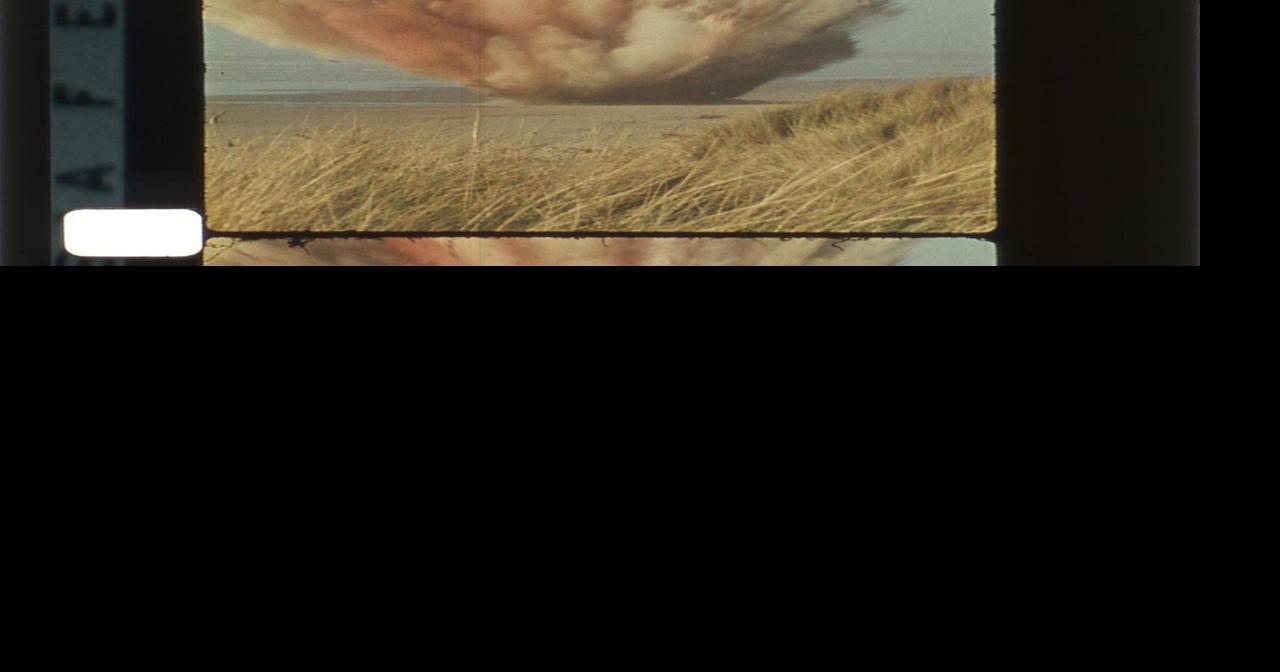 Fifty years ago, Oregon exploded a whale carcass in a burst that ...