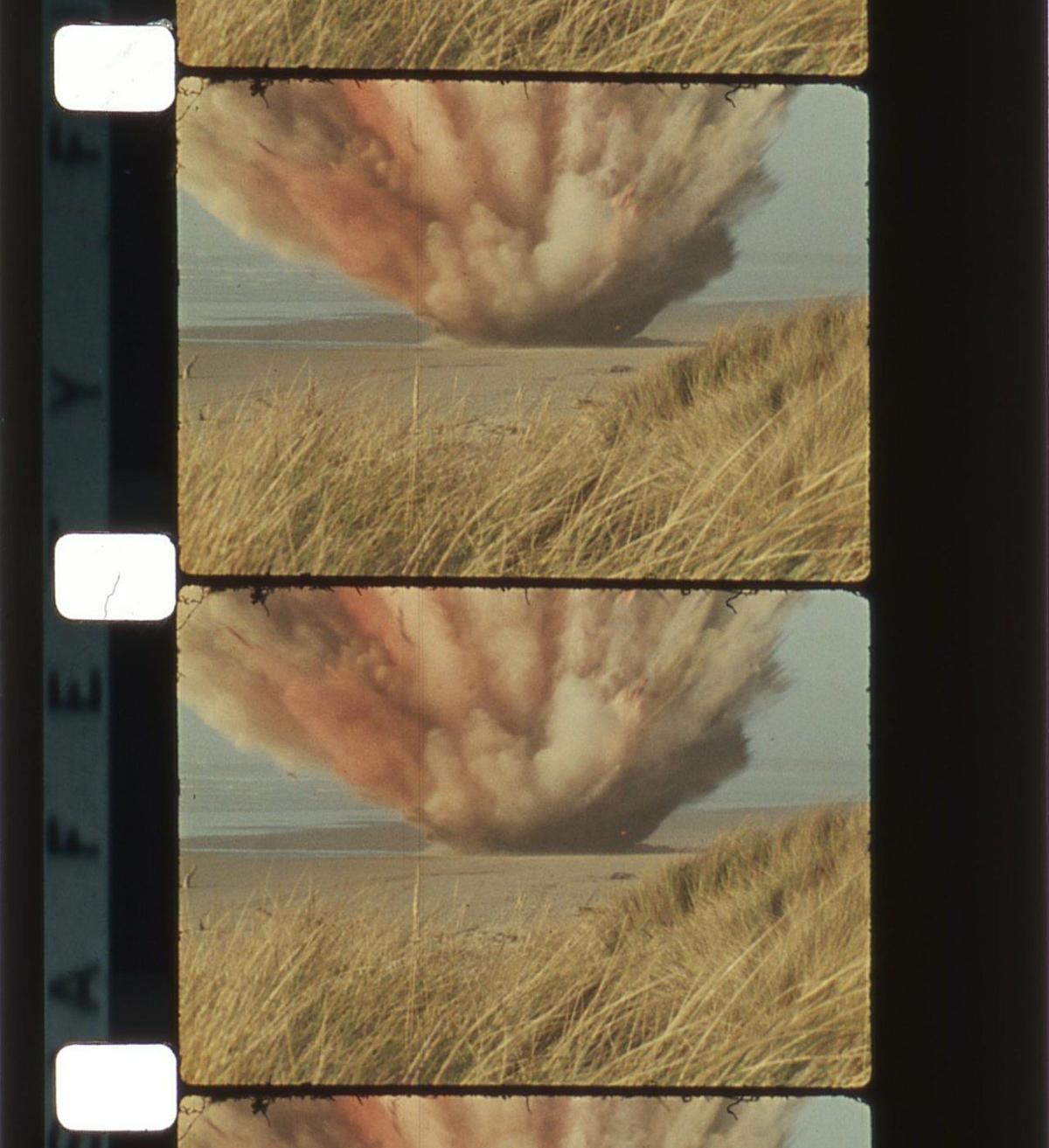 Fifty years ago, Oregon exploded a whale carcass in a burst that ...