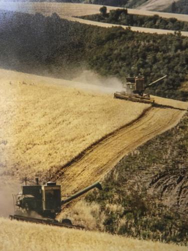 A look into the history of Walla Walla’s Ferrel Seed Farm, a sixth ...