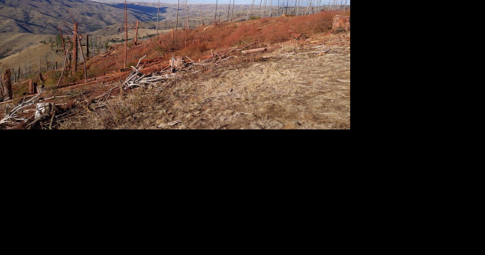 12-week-old Green Ridge Fire now 61% contained | News | union-bulletin.com