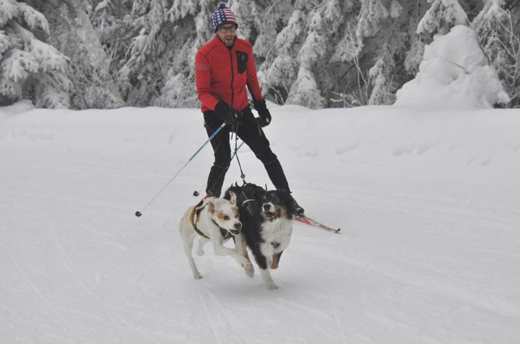 Skijoring combines skiing and dogs | | union-bulletin.com