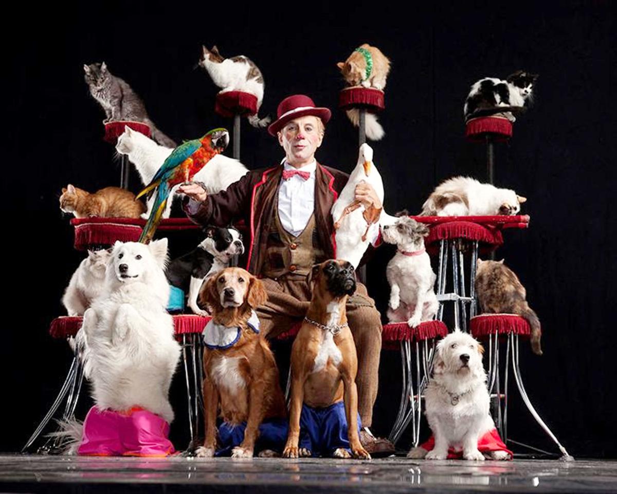 Cats, dogs, circus performer entertain | Arts And Entertainment | union ...