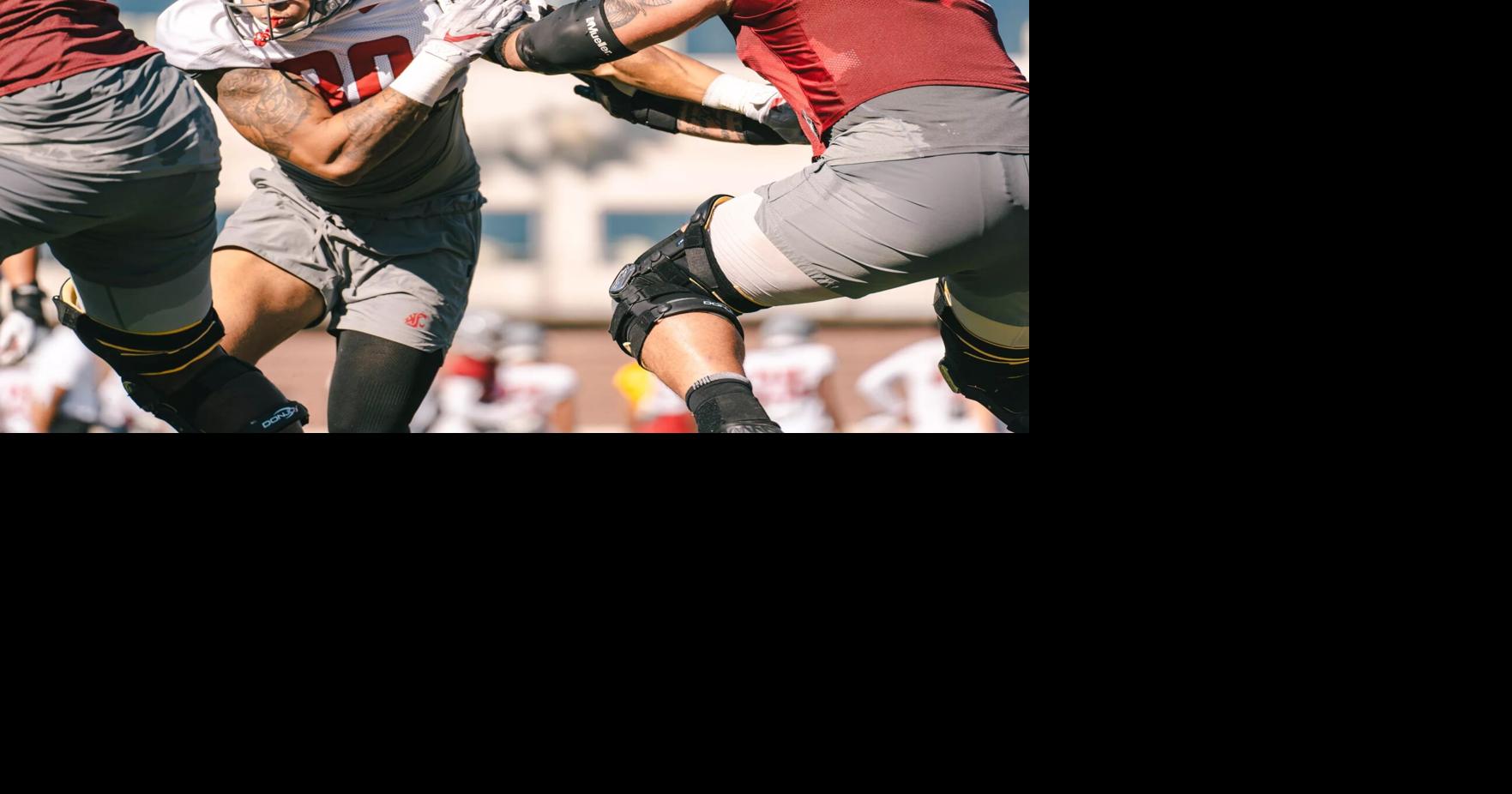 Washington State defense paced by deep and talented group of edge ...