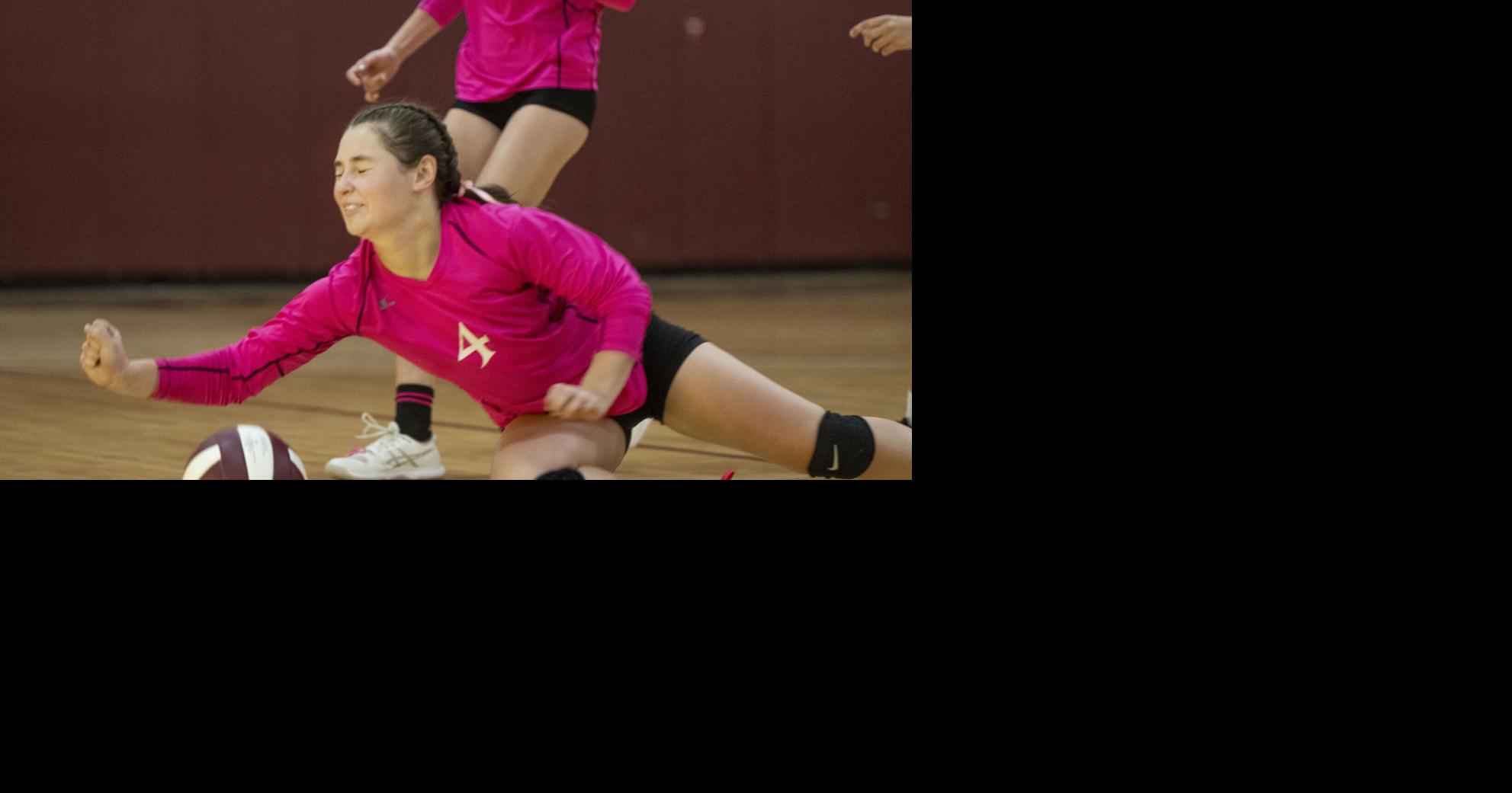 WWVA's volleyball team wins Thursday seeding match, now off to state ...
