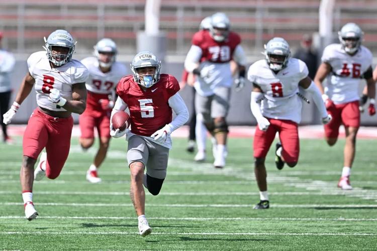 Coug defense shows progress in deep-ball coverage during second spring ...