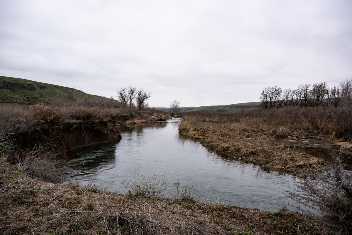 CTUIR leads 450-acre Touchet River floodplain restoration project ...