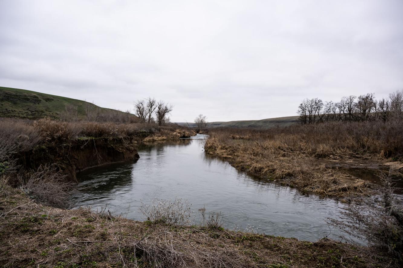 CTUIR leads 450-acre Touchet River floodplain restoration project ...