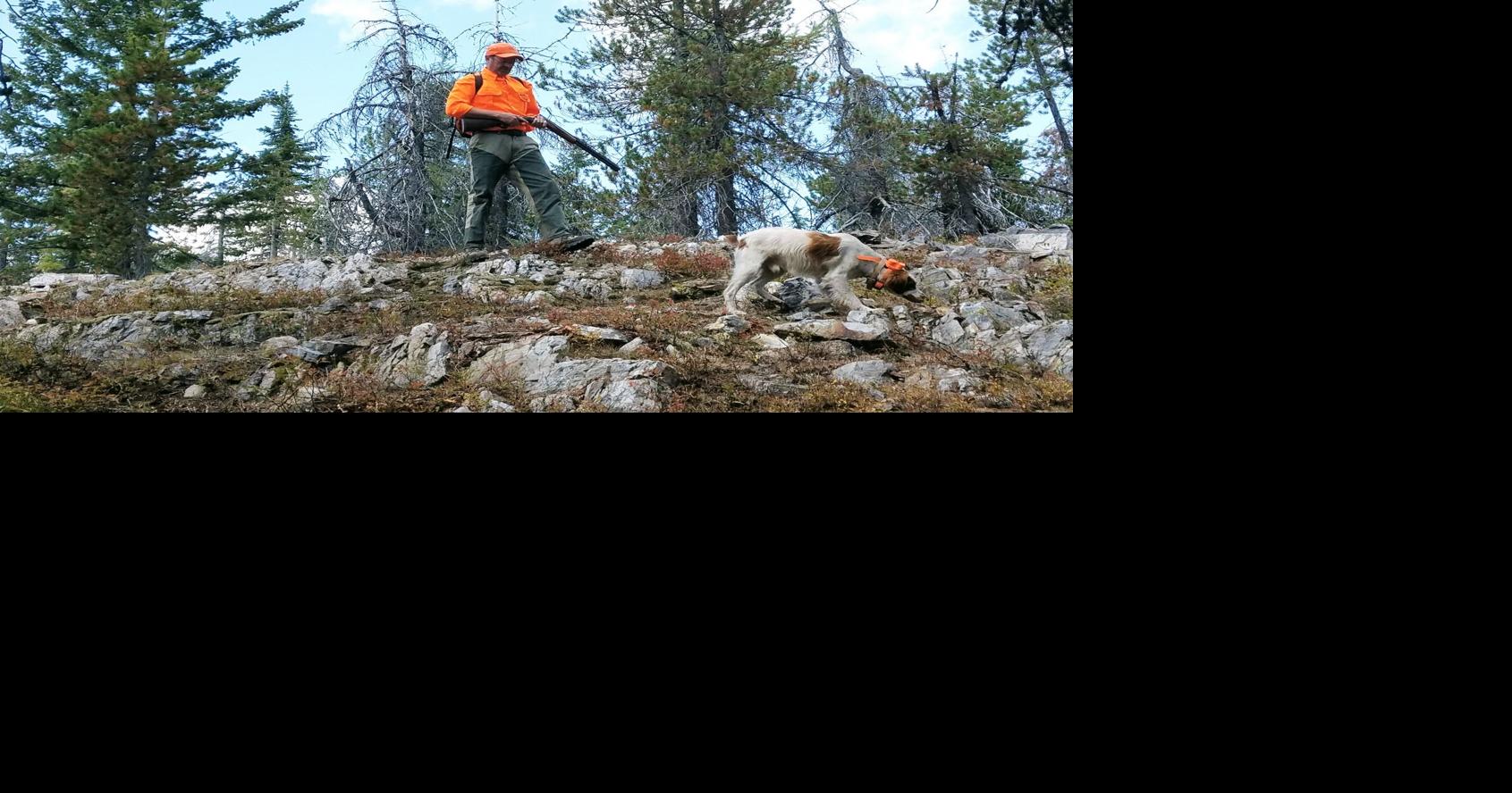 Washington sets back forest grouse hunting by two weeks to protect hens ...