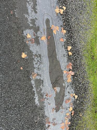 Frozen puddles | | union-bulletin.com