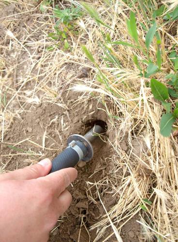 Walla Walla firm's gopher-eradication setup breaks new ground in pest ...