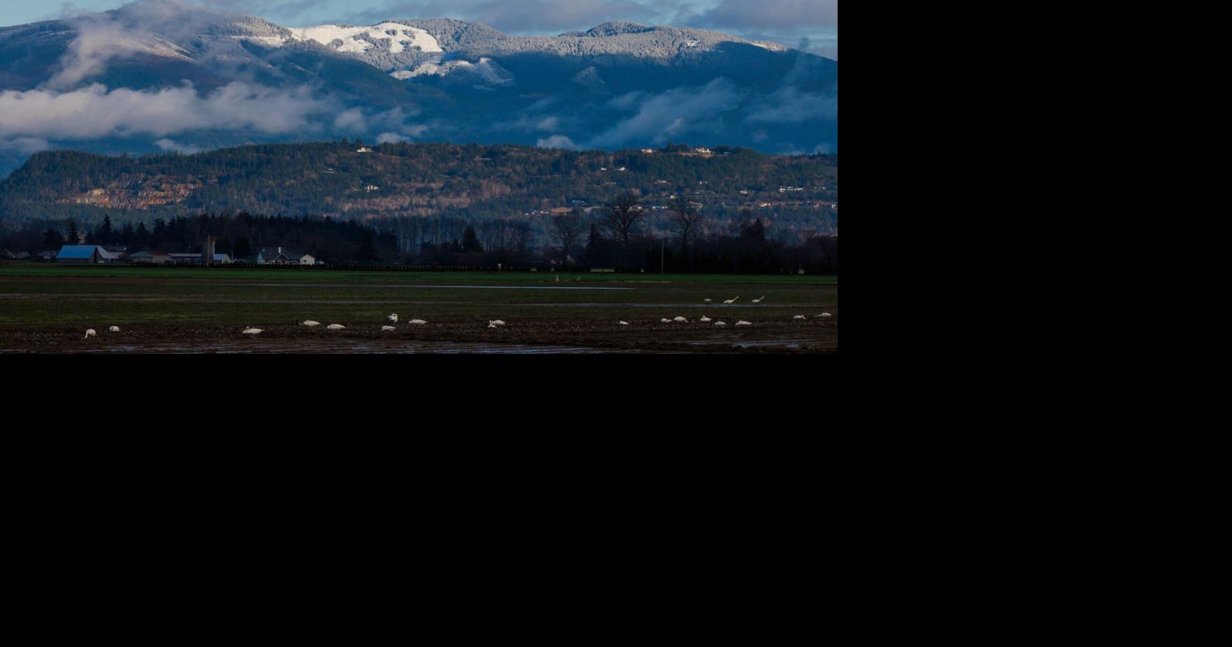 Other Views: Ignoring climate change won't alter situation | Editorials ...
