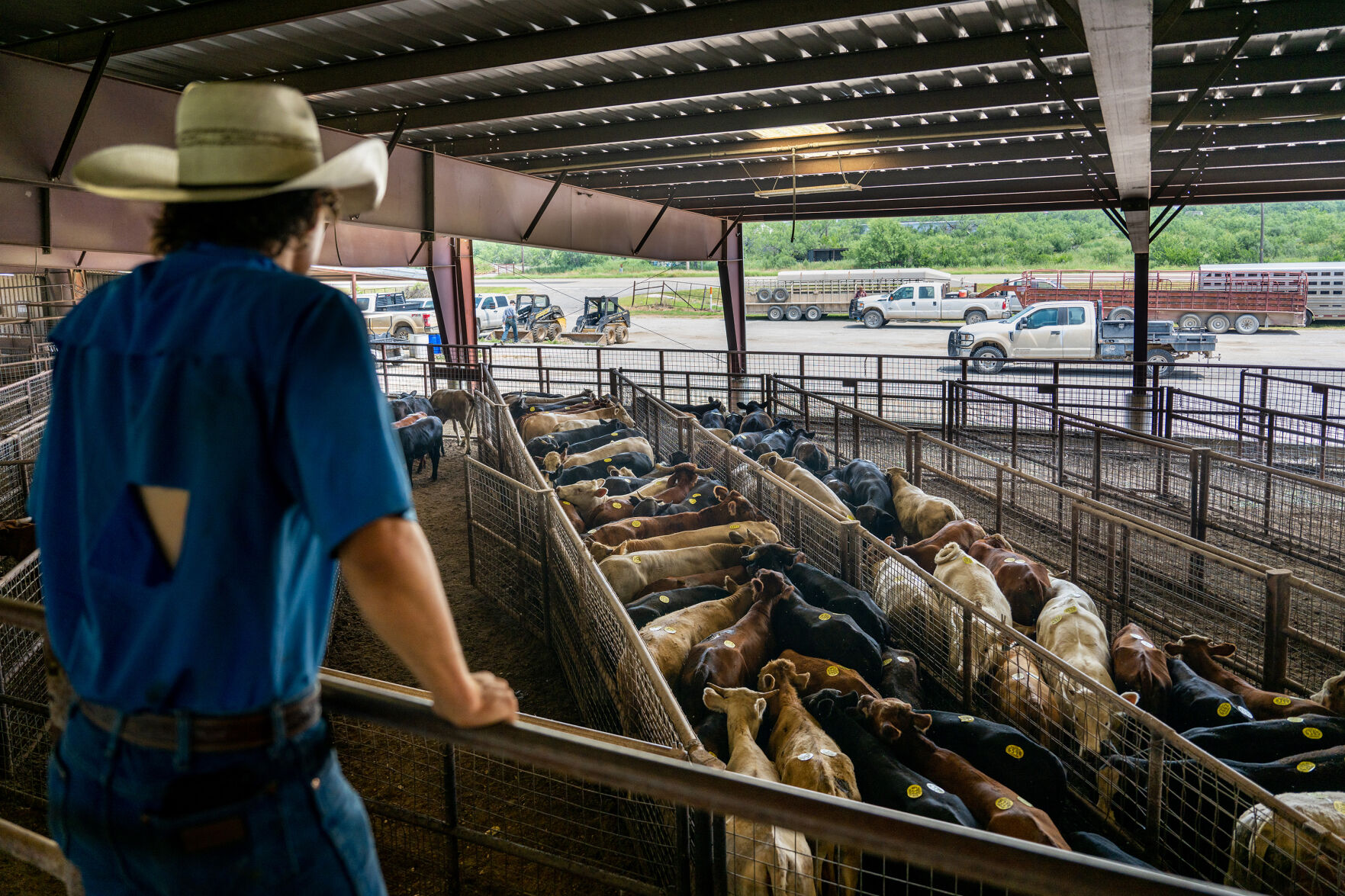 Other views: Meat processing industry deserves sustained attention from ...