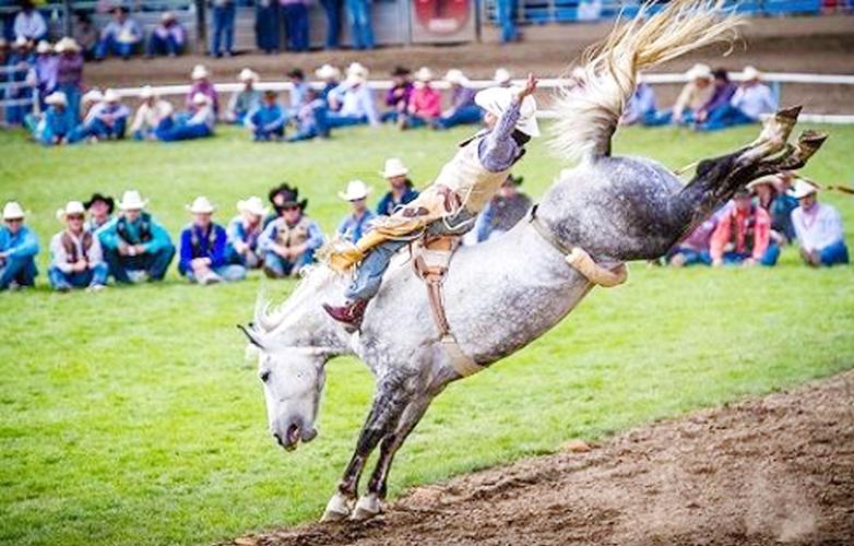 2018 Pendleton Round-Up tickets sales break records | Etcetera | union ...
