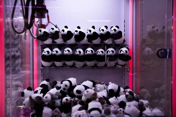 The last 2 pandas in Japan are leaving for China as ties are strained ...