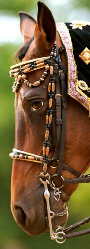 A look at how U-B photographer alumnus Jeff Horner cropped images for ...