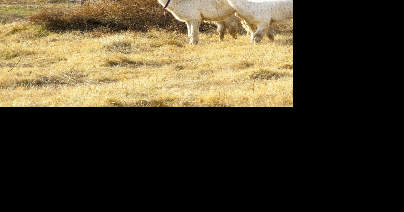 Drive any direction from Walla Walla for a day trip adventure | | union ...