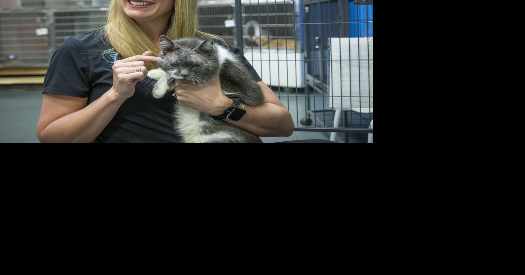 Community Q&A: Dr. Ashley Rice finds her calling as a shelter ...