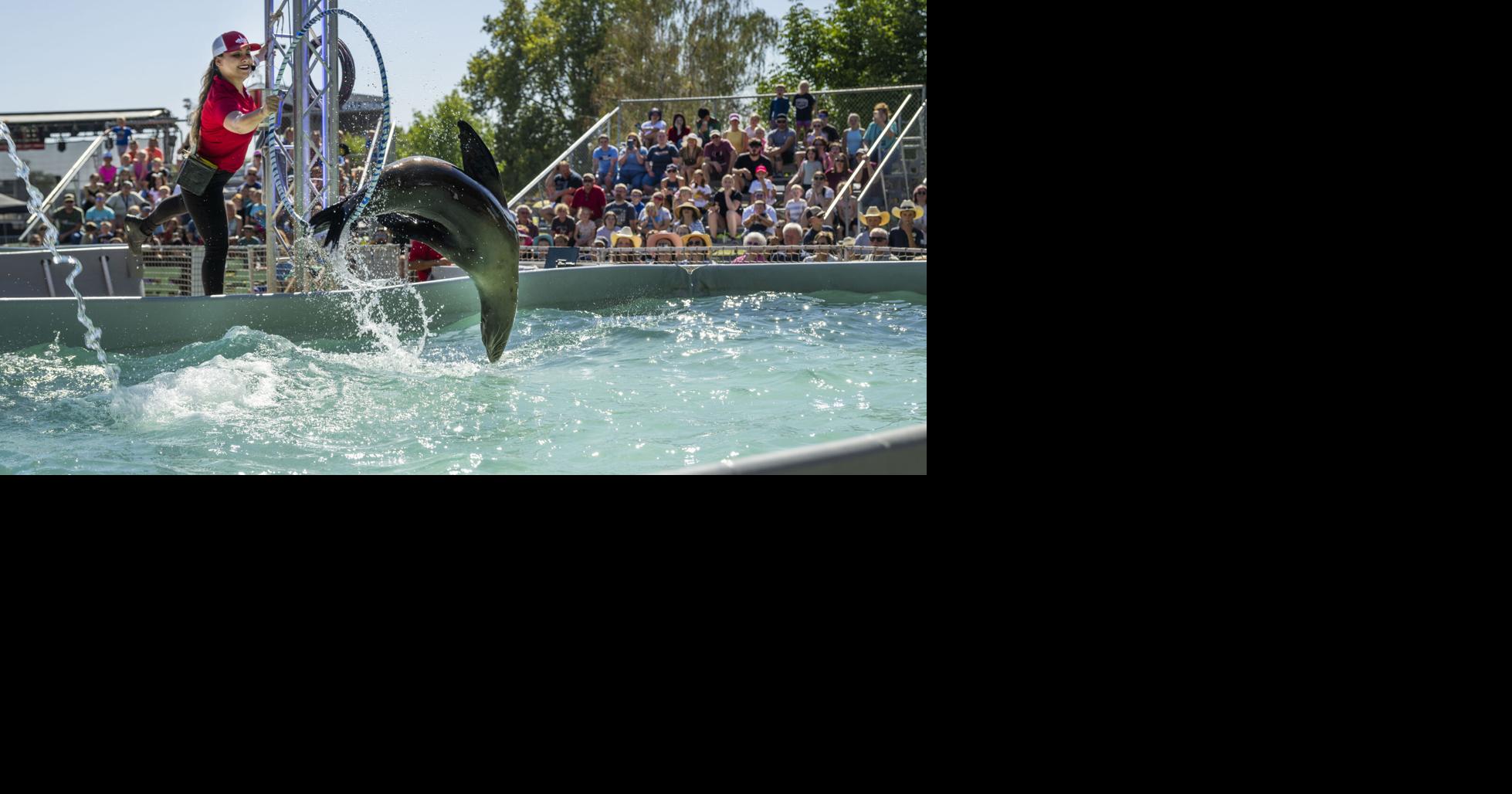 Photos: Visitors beat the heat at Walla Walla Fair & Frontier Days ...