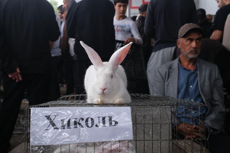 PHOTO ESSAY: A peaceful Tajikistan prepares to mark 35 years of ...