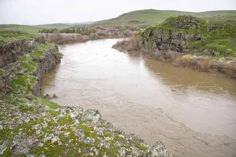 Walla Walla River running high | News | union-bulletin.com